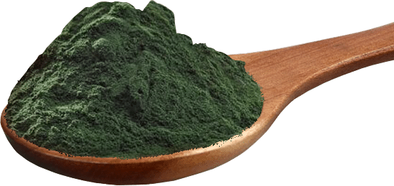 Organic Spirulina Powder – Ganic Food